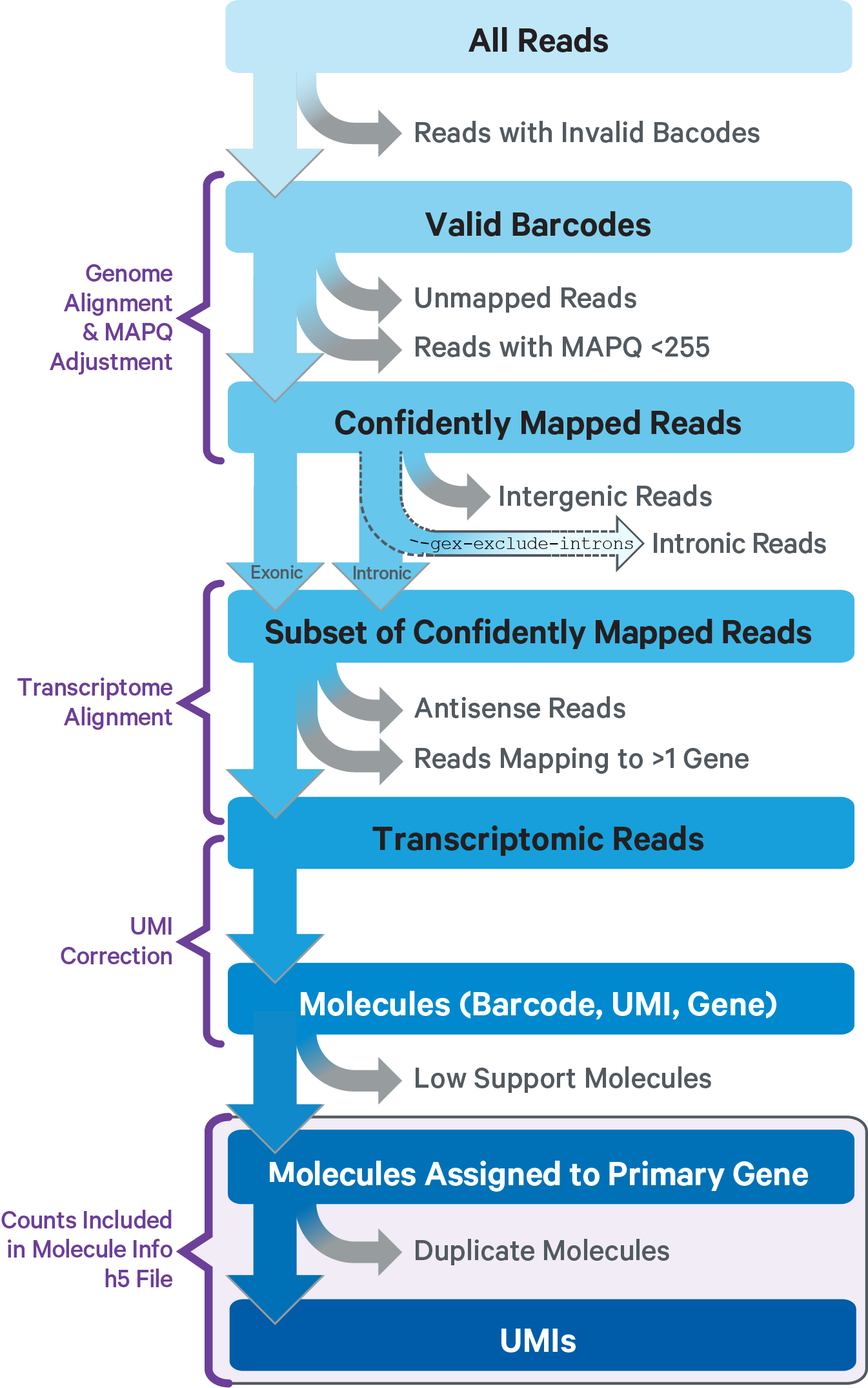 Cell Ranger ARC Algorithm Overview | Official 10x Genomics Support